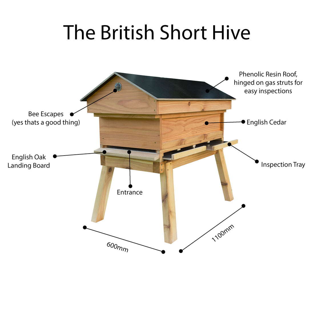 Short Hive – Hyde Hives
